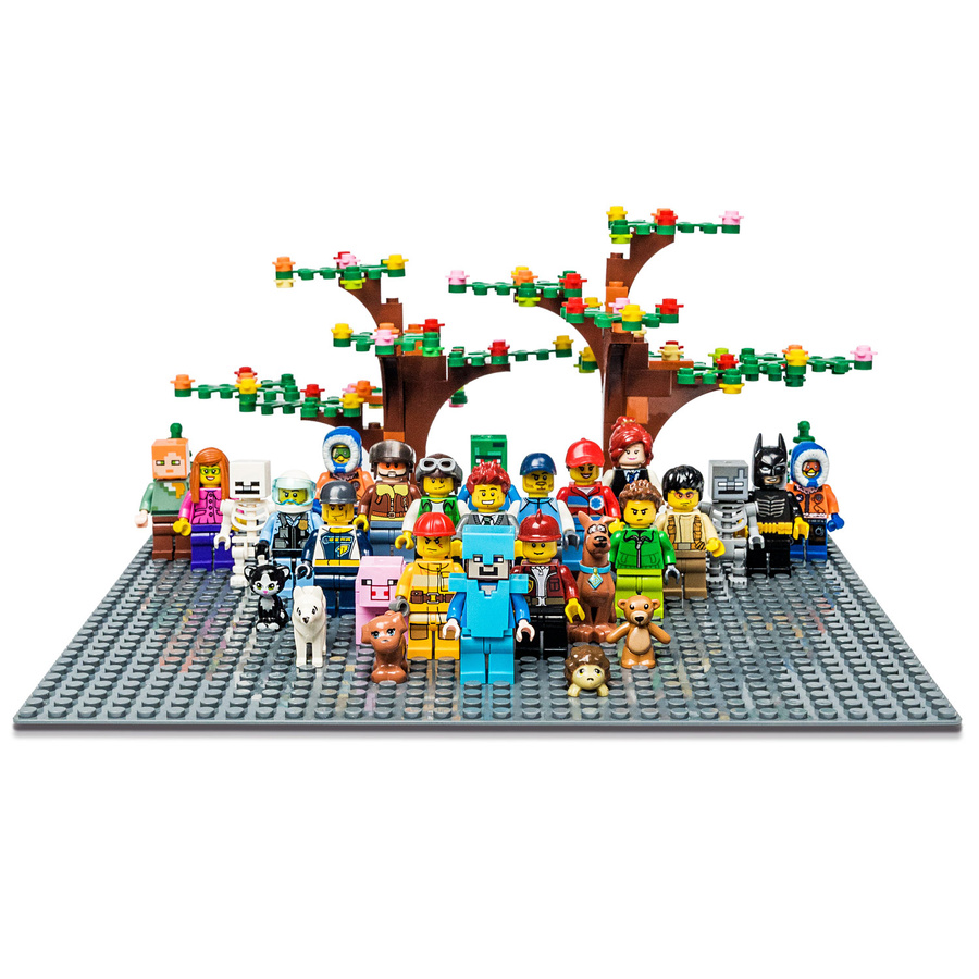 Płyta konstrukcyjna do klocków - Cedar4Kids | Zamów na CedarDrop.com